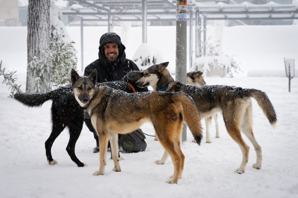 "Ser 'musher' es una forma de vida" - Hortaleza Periódico Vecinal