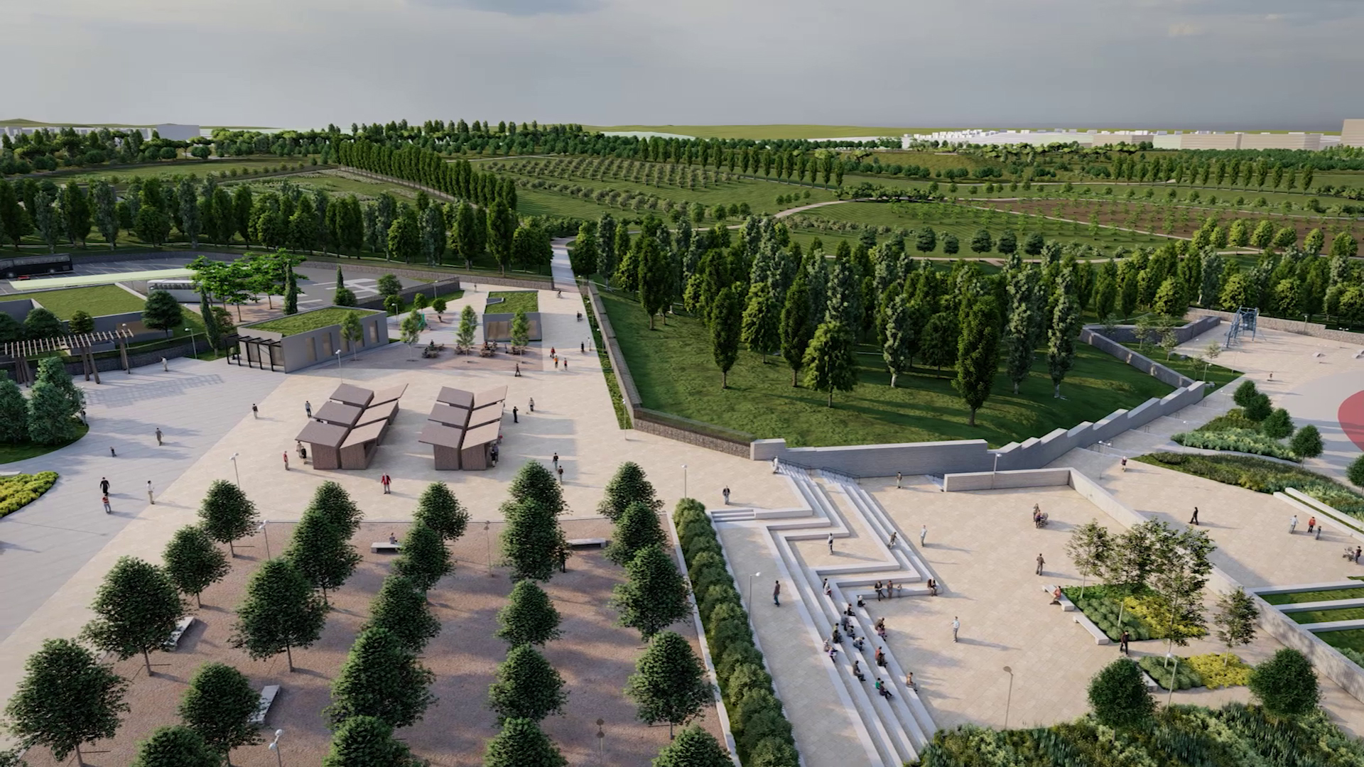 El primer árbol del 'Central Park' de Valdebebas, cinco años después ...